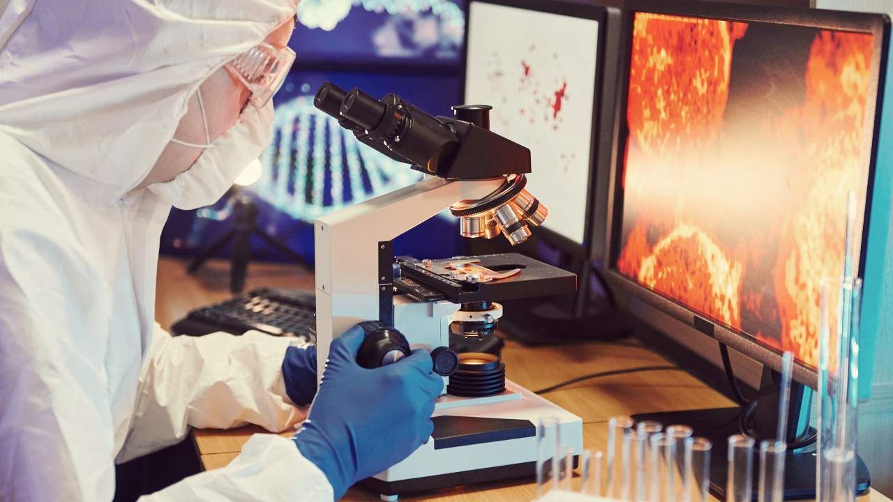 Anatomia Patológica: o que é, exames e qual sua importância?